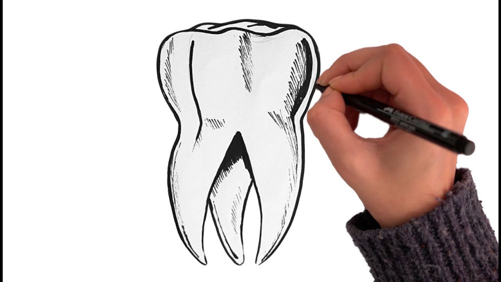 20 Easy Tooth Drawing Ideas - How to Draw a Tooth