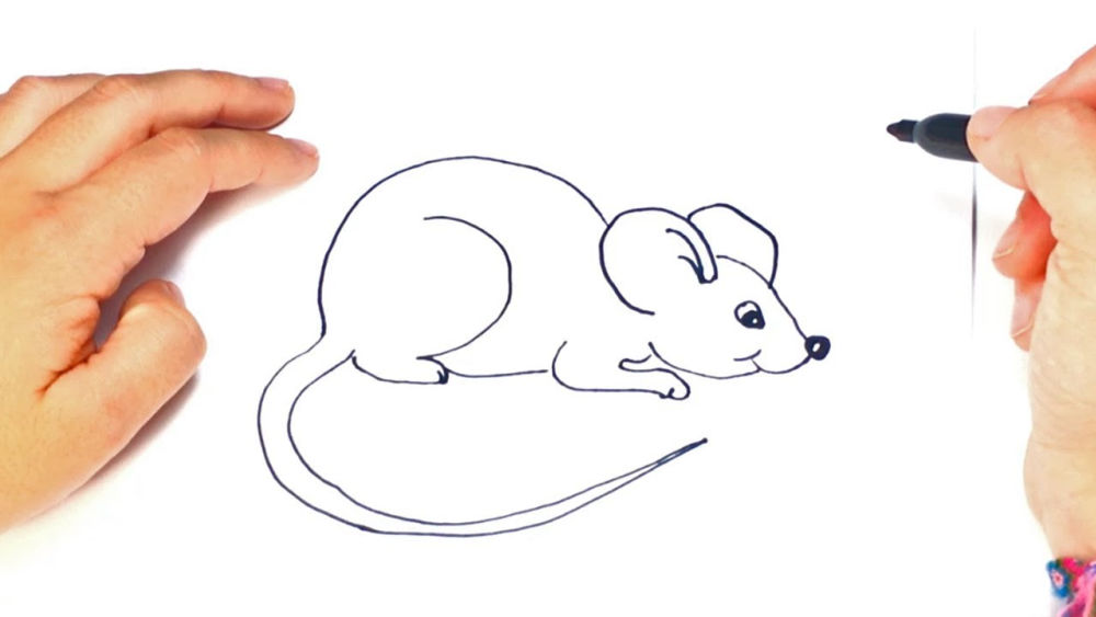 25 Easy Mouse Drawing Ideas - How to Draw a Mouse