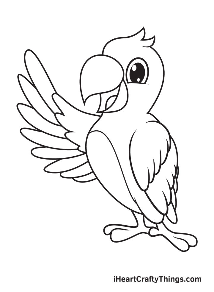 25 Easy Parrot Drawing Ideas - How to Draw a Parrot