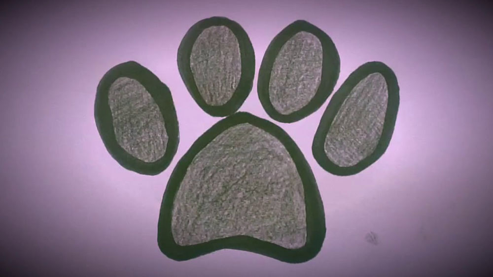 25 Easy Paw Print Drawing Ideas - How to Draw