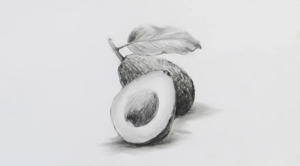 25 Easy Avocado Drawing Ideas - How to Draw