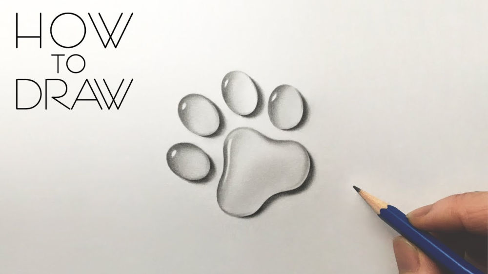 25 Easy Paw Print Drawing Ideas - How to Draw