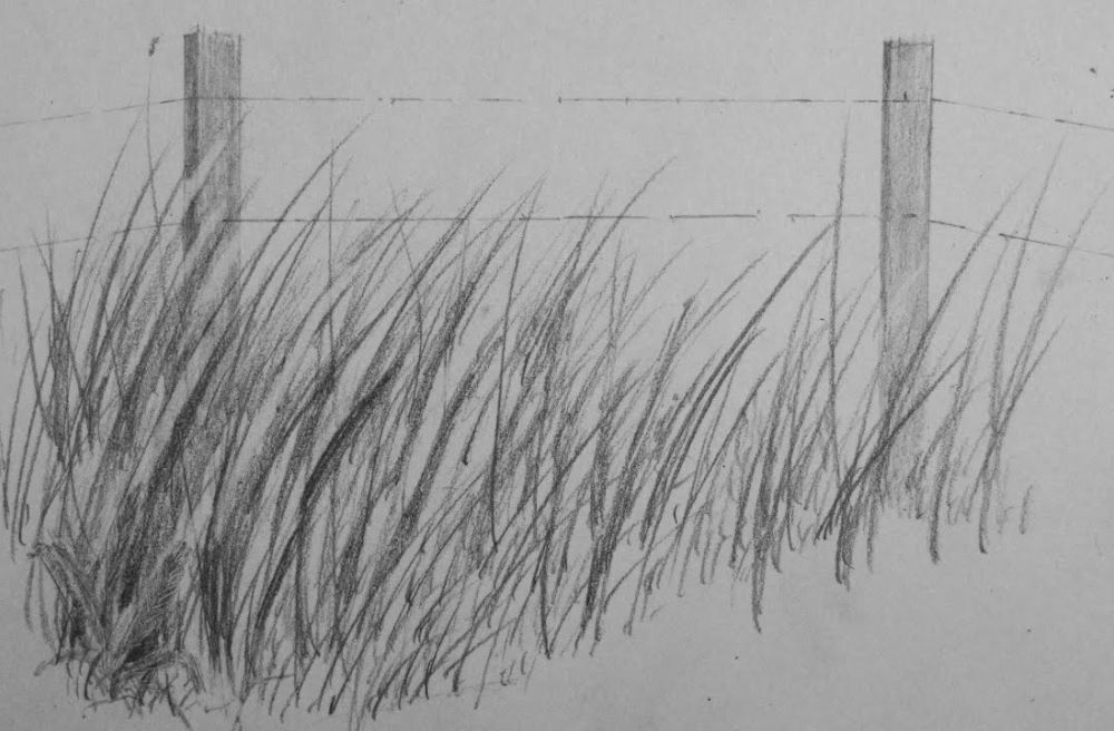 25 Easy Grass Drawing Ideas - How to Draw Grass - Blitsy
