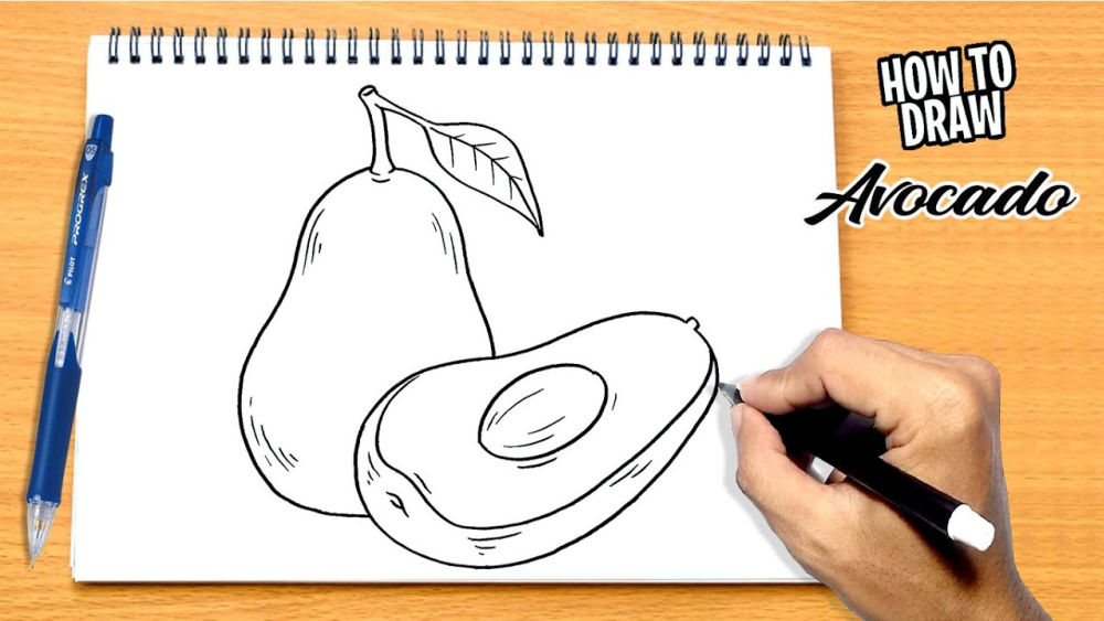 25 Easy Avocado Drawing Ideas - How to Draw