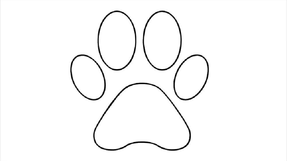 25 Easy Paw Print Drawing Ideas - How to Draw