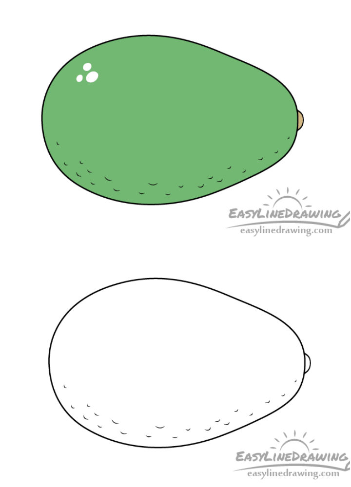 25 Easy Avocado Drawing Ideas - How to Draw
