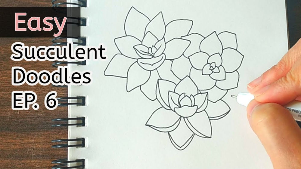 20 Easy Succulent Drawing Ideas - Draw a Succulent