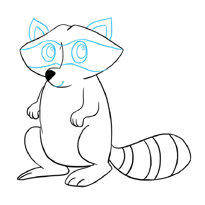 25 Easy Raccoon Drawing Ideas - How to Draw a Raccoon