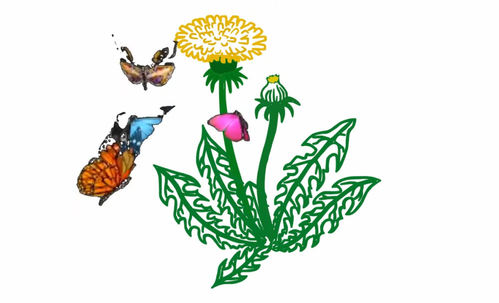 20 Easy Dandelion Drawing Ideas - How to Draw