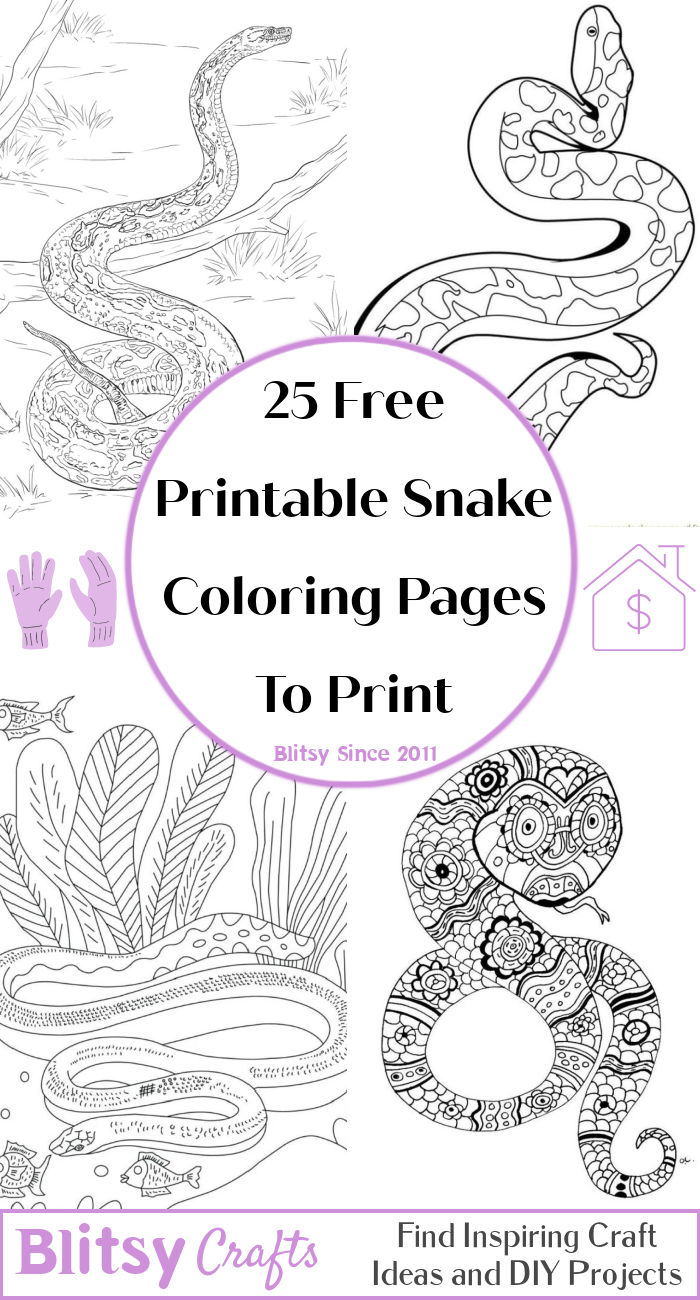 25 Free Snake Coloring Pages for Kids and Adults