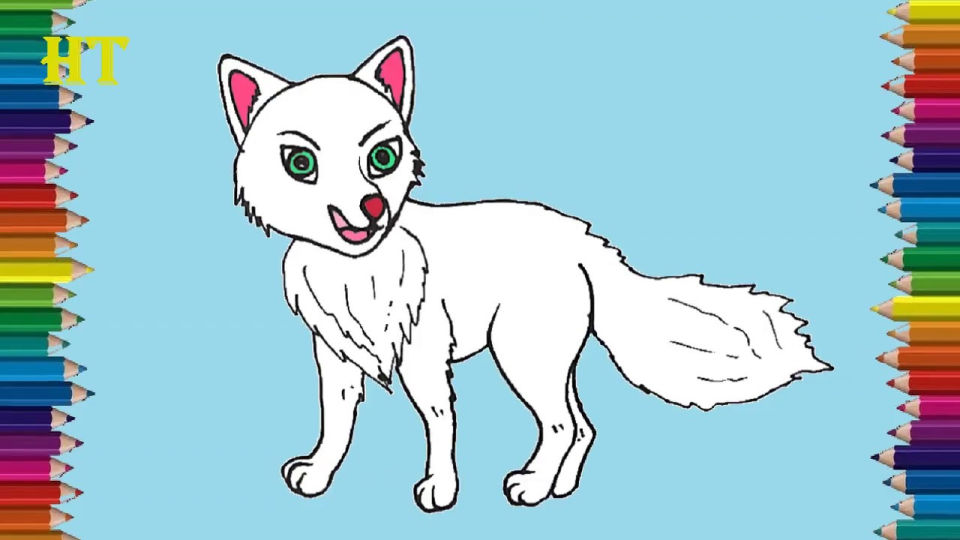 25 Easy Arctic Fox Drawing Ideas - How to Draw