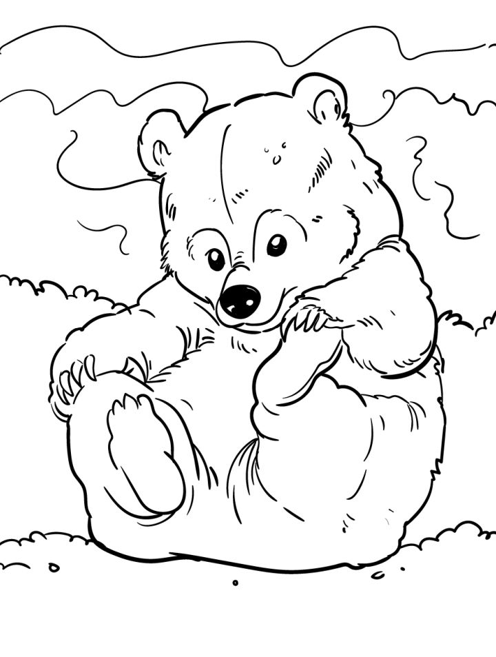 25 Free Bear Coloring Pages for Kids and Adults - Blitsy