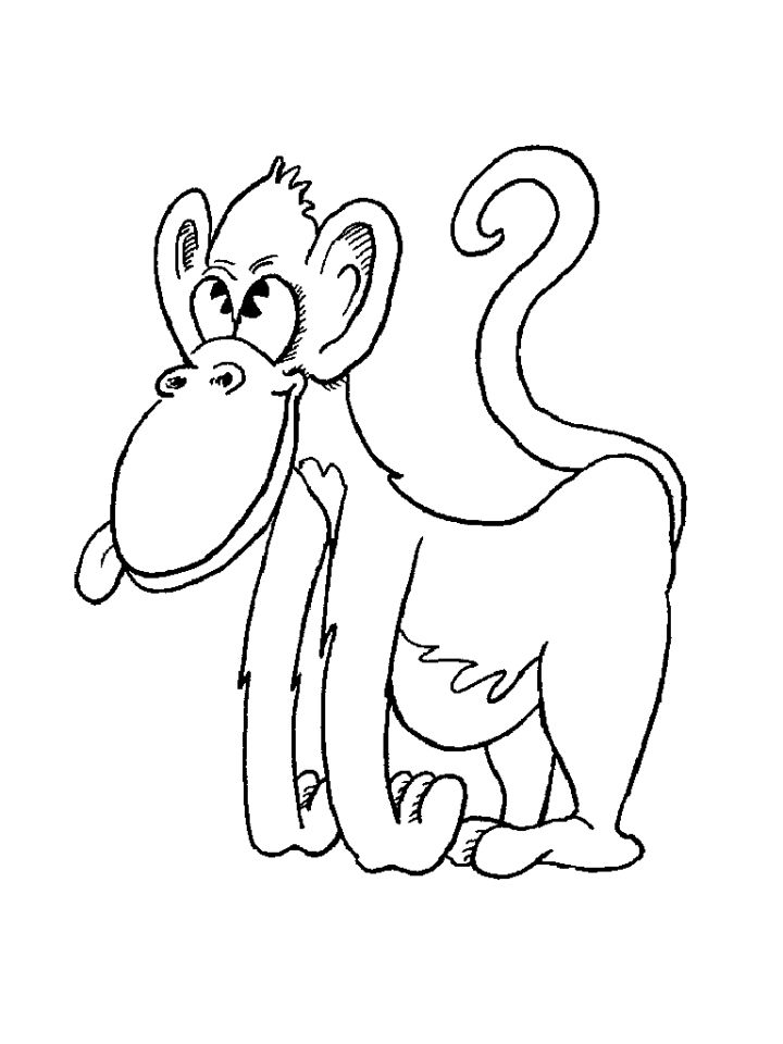25 Free Monkey Coloring Pages for Kids and Adults