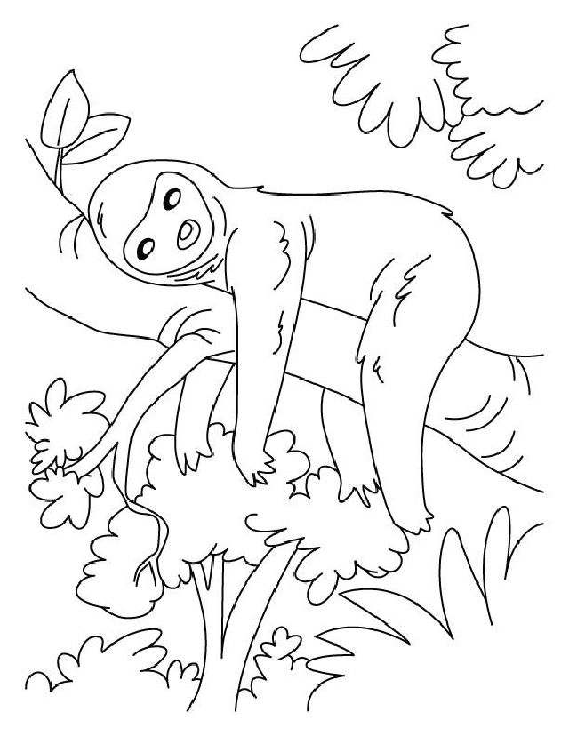 15 Free Sloth Coloring Pages for Kids and Adults