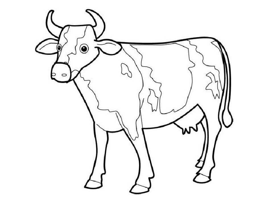 25 Free Cow Coloring Pages for Kids and Adults