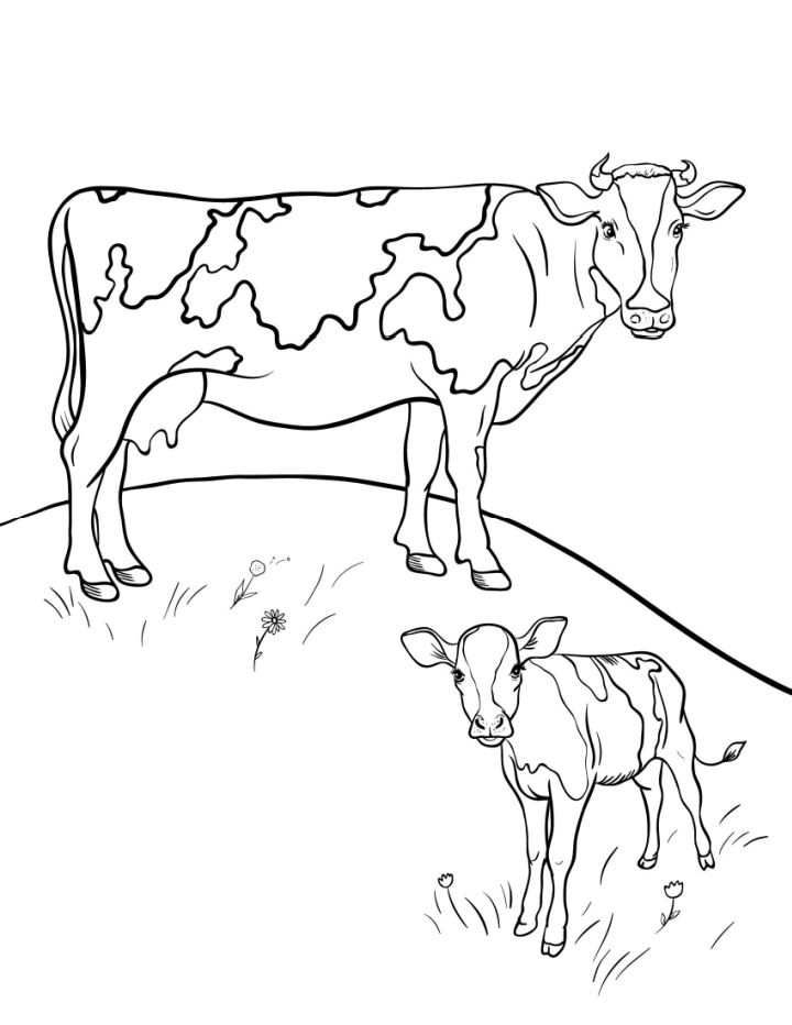 25 Free Cow Coloring Pages for Kids and Adults