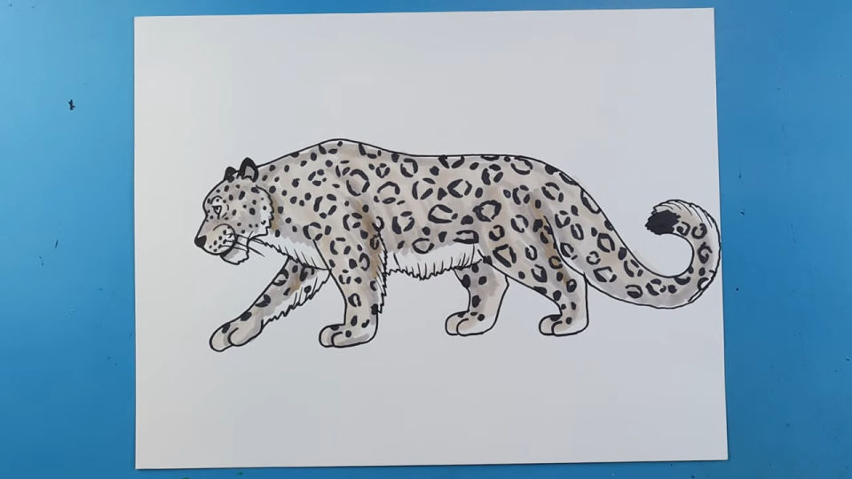 25 Easy Snow Leopard Drawing Ideas - How to Draw