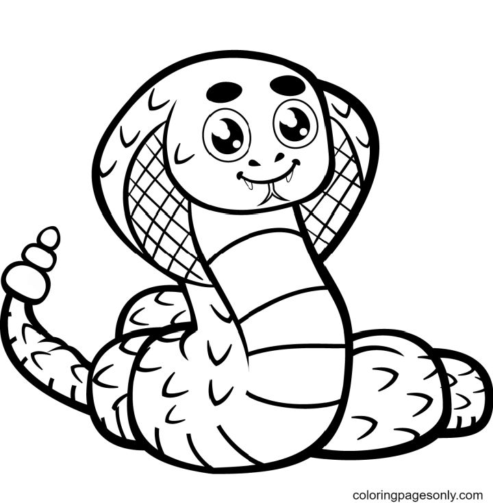 25 Free Snake Coloring Pages for Kids and Adults