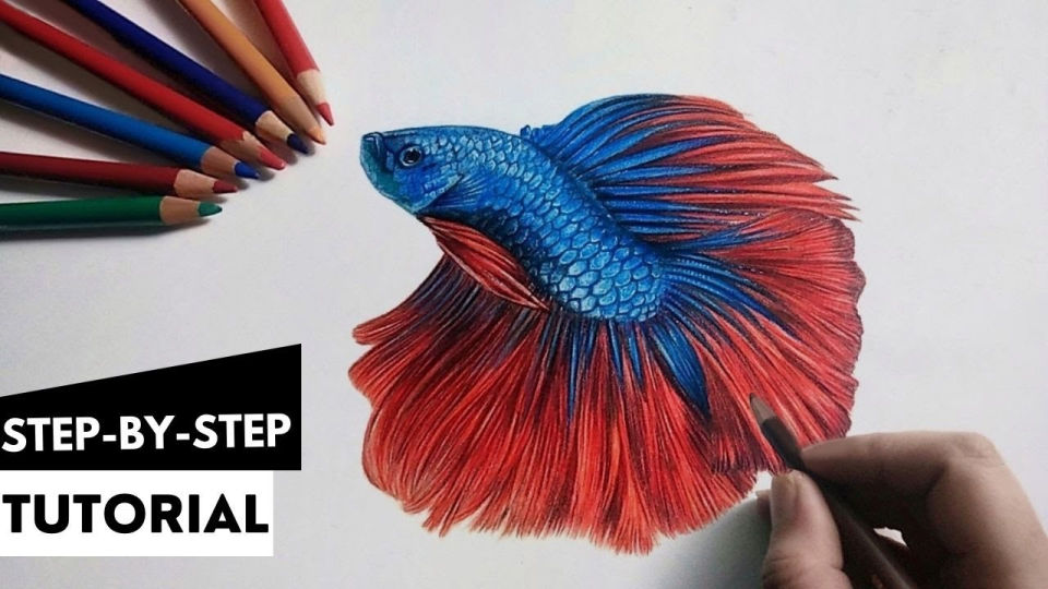 25 Easy Realistic Drawing Ideas - How to Draw Realistic