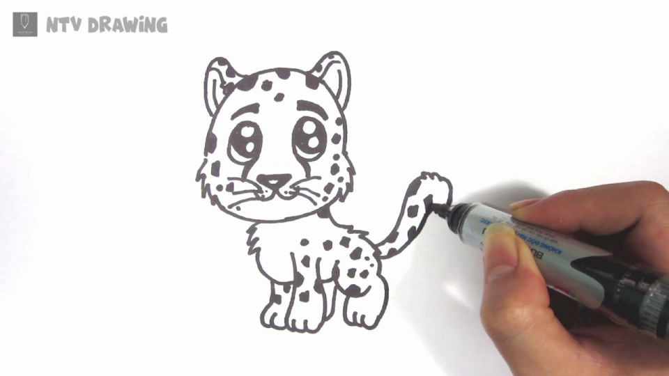 25 Easy Leopard Drawing Ideas - How to Draw