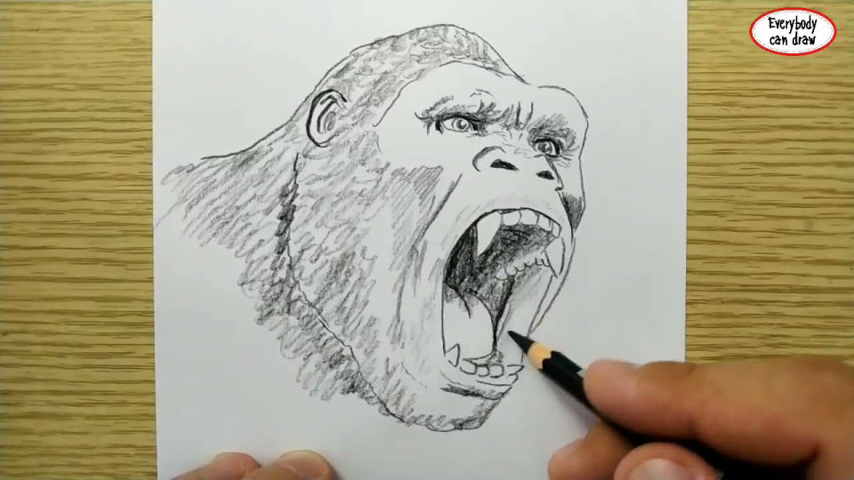 25 Easy King Kong Drawing Ideas - How to Draw