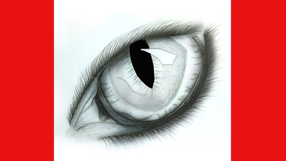 25 Easy Cat Eye Drawing Ideas - How to Draw a Cat Eye