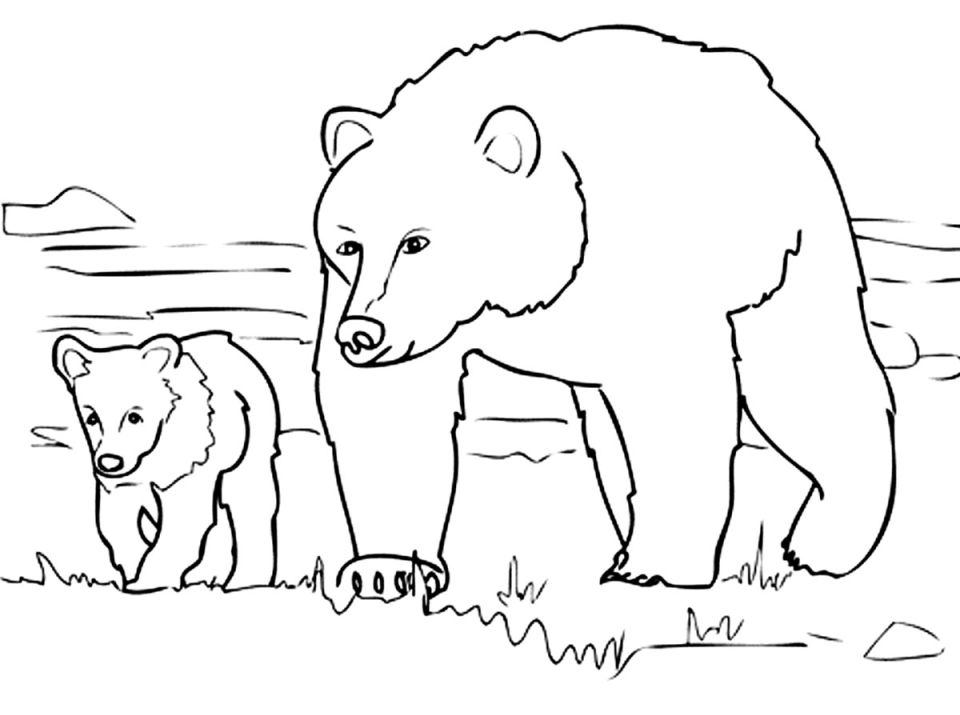 25 Free Bear Coloring Pages for Kids and Adults - Blitsy