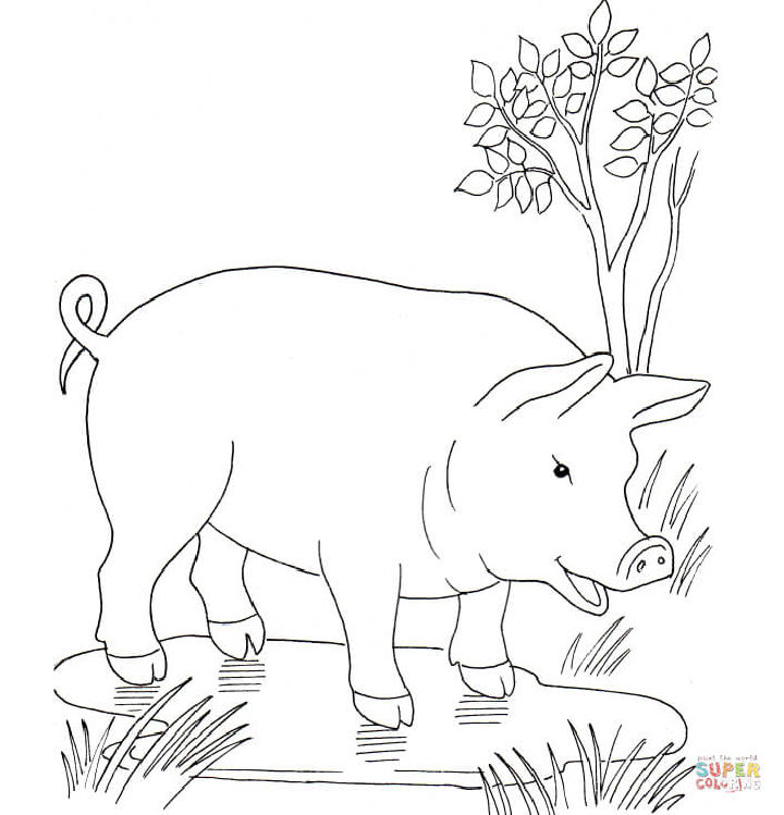 20 Free Pig Coloring Pages for Kids and Adults