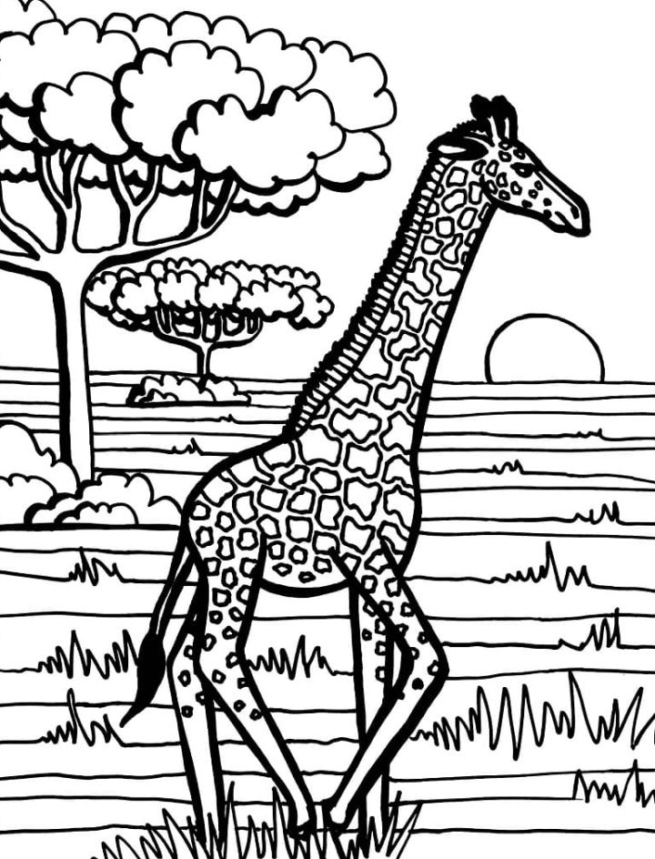 25 Free Giraffe Coloring Pages for Kids and Adults