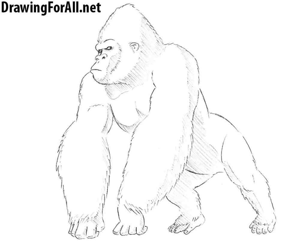 25 Easy King Kong Drawing Ideas - How to Draw