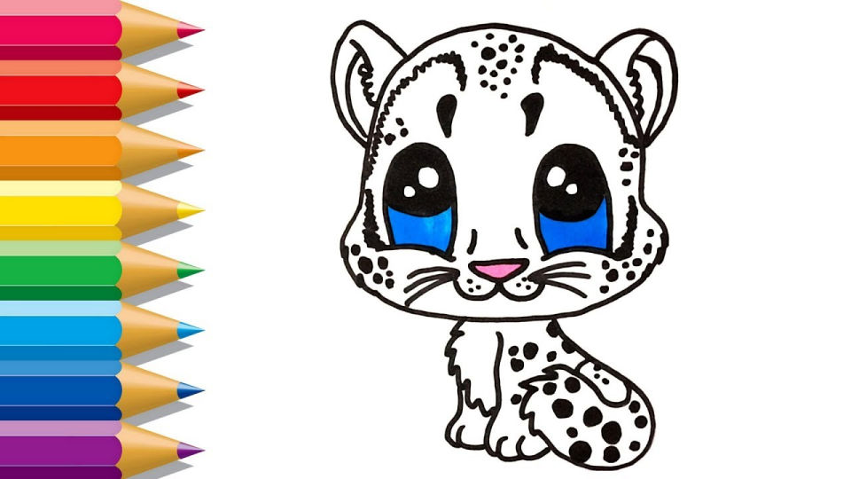 25 Easy Snow Leopard Drawing Ideas - How to Draw
