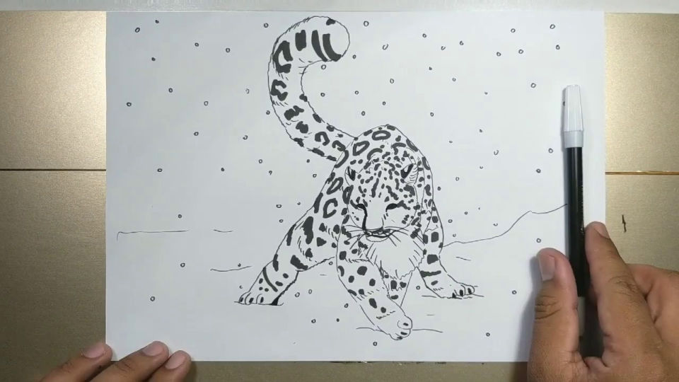 25 Easy Snow Leopard Drawing Ideas - How to Draw