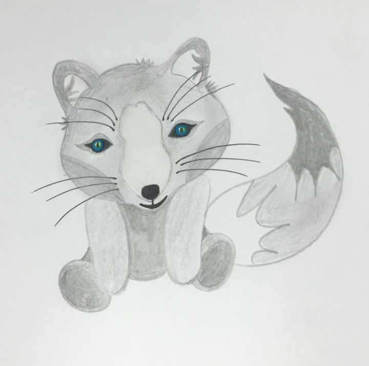 25 Easy Arctic Fox Drawing Ideas - How to Draw