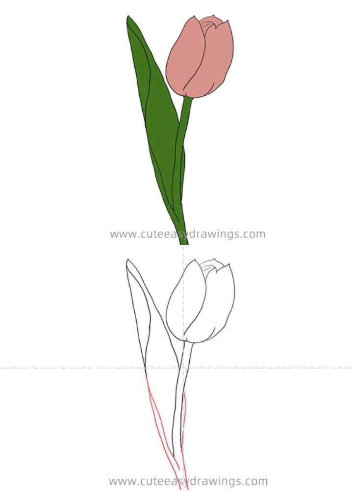 25 Easy Tulip Drawing Ideas - How to Draw a Tulip