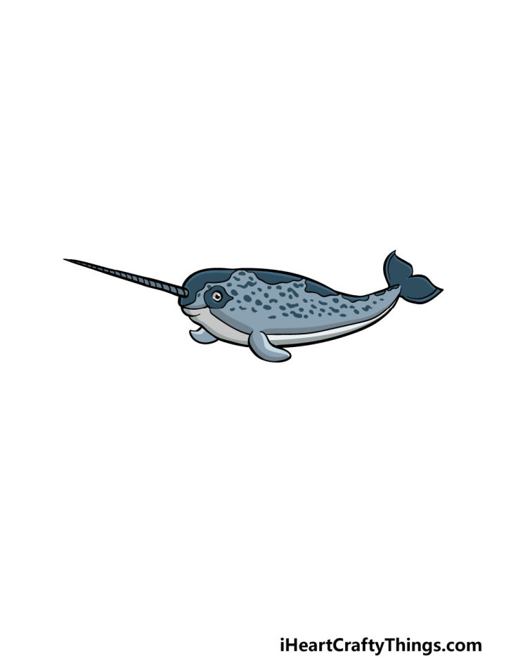 25 Easy Narwhal Drawing Ideas - How to Draw a Narwhal