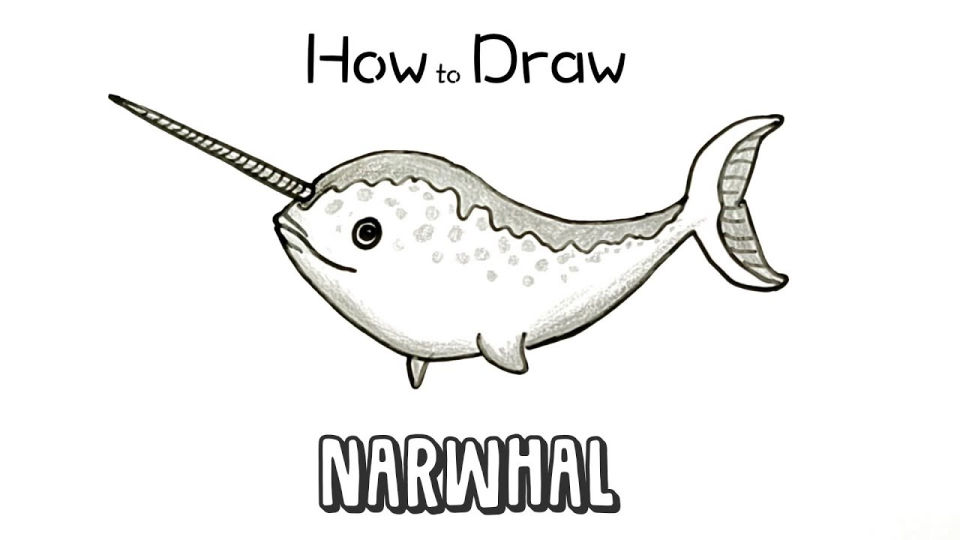 25 Easy Narwhal Drawing Ideas - How to Draw a Narwhal