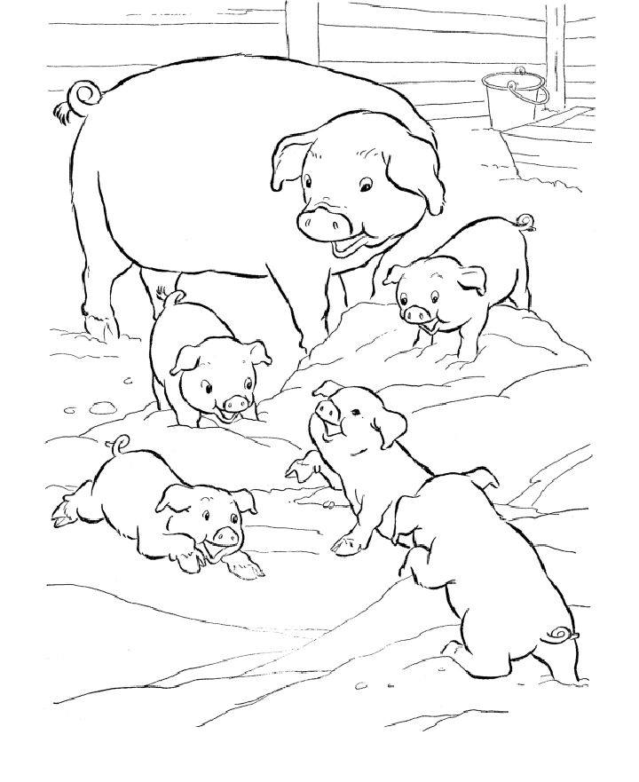 20 Free Pig Coloring Pages for Kids and Adults