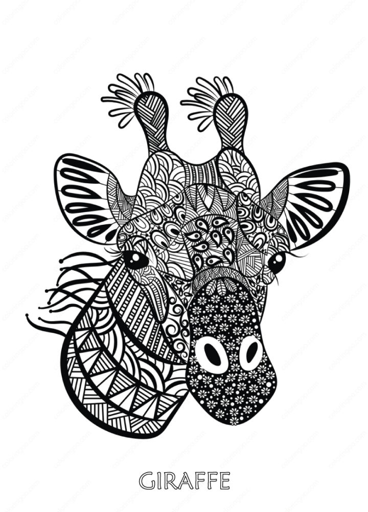 25 Free Giraffe Coloring Pages for Kids and Adults