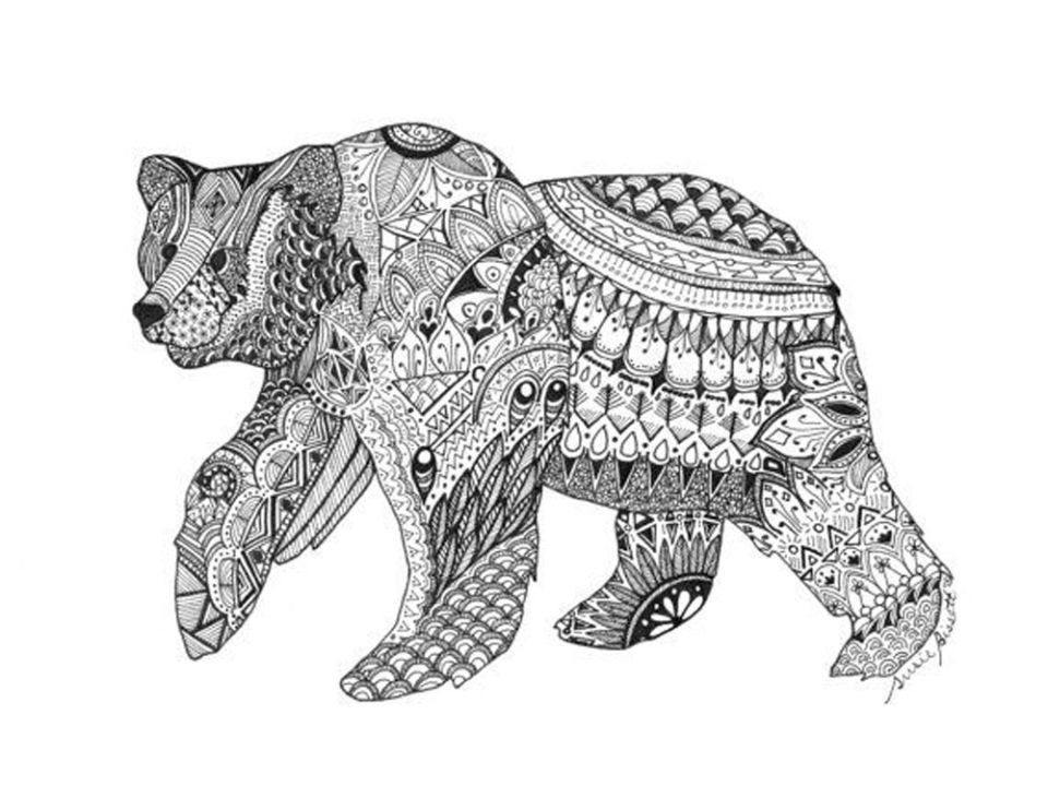25 Free Bear Coloring Pages for Kids and Adults - Blitsy