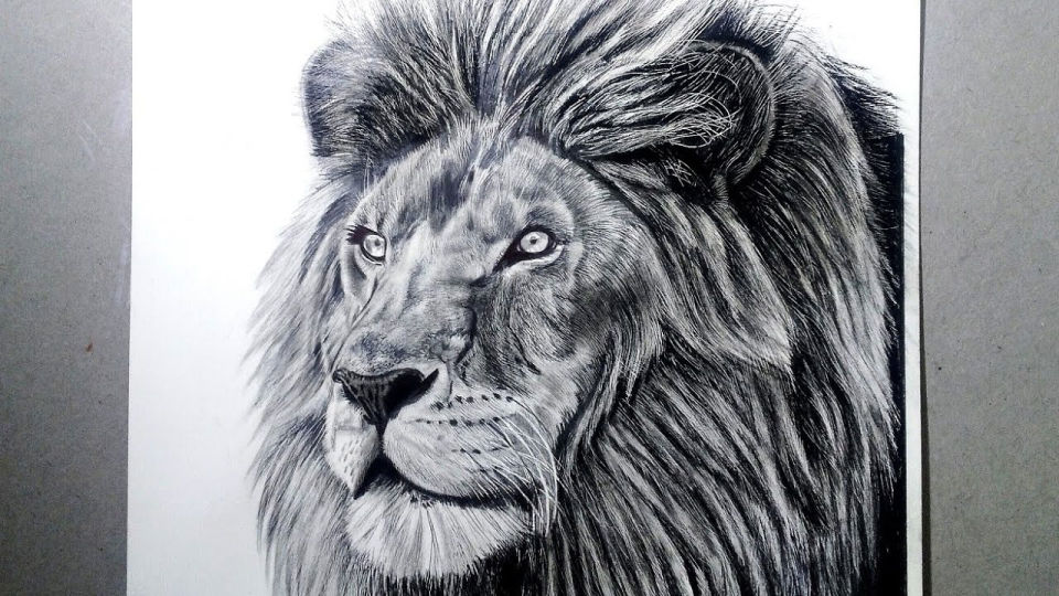 25 Easy Realistic Drawing Ideas - How to Draw Realistic