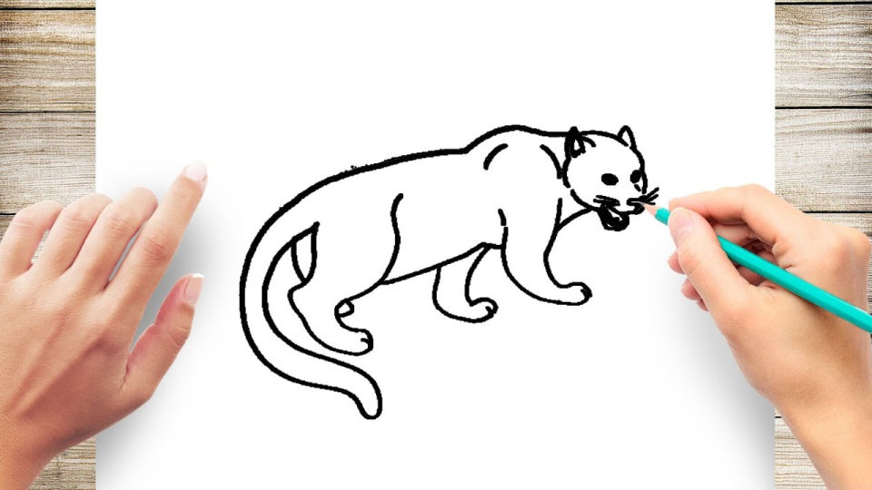 25 Easy Leopard Drawing Ideas - How to Draw