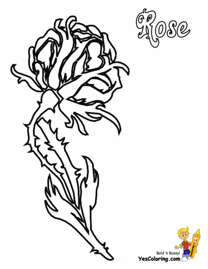 20 Free Rose Coloring Pages for Kids and Adults