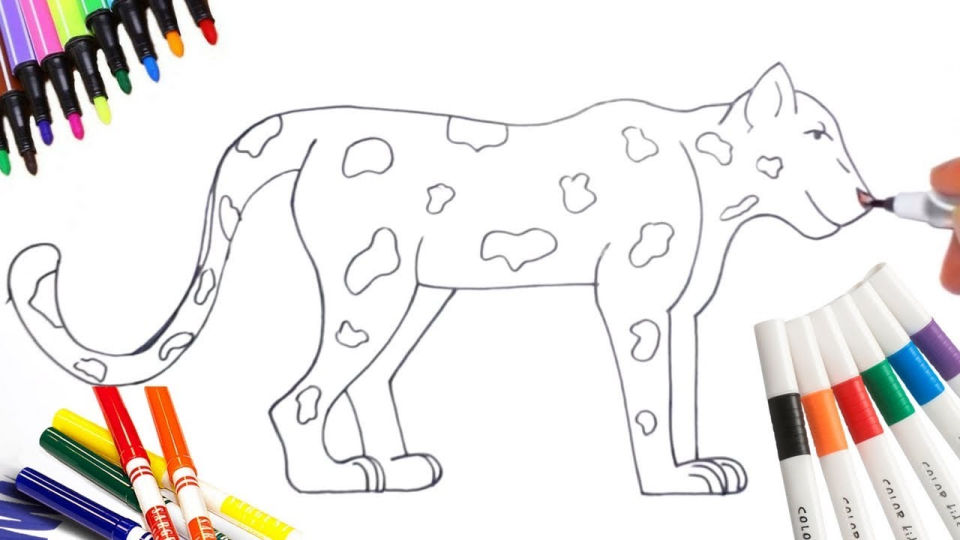 25 Easy Snow Leopard Drawing Ideas - How to Draw