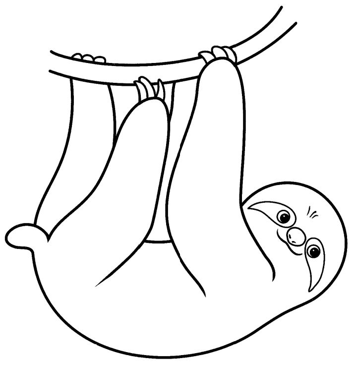 15 Free Sloth Coloring Pages for Kids and Adults