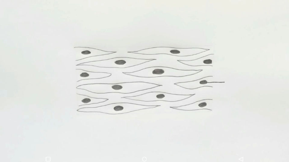 20 Easy Cell Drawing Ideas - How to Draw a Cell