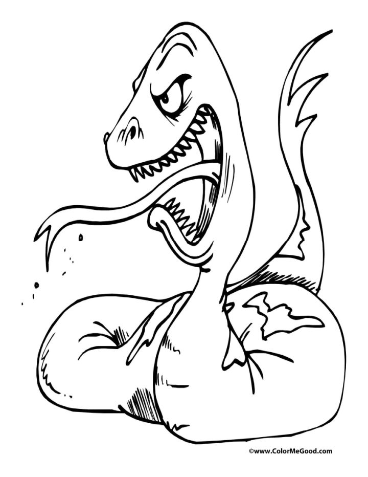 25 Free Snake Coloring Pages for Kids and Adults