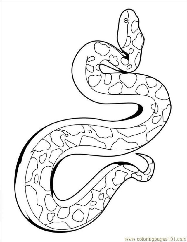 25 Free Snake Coloring Pages for Kids and Adults