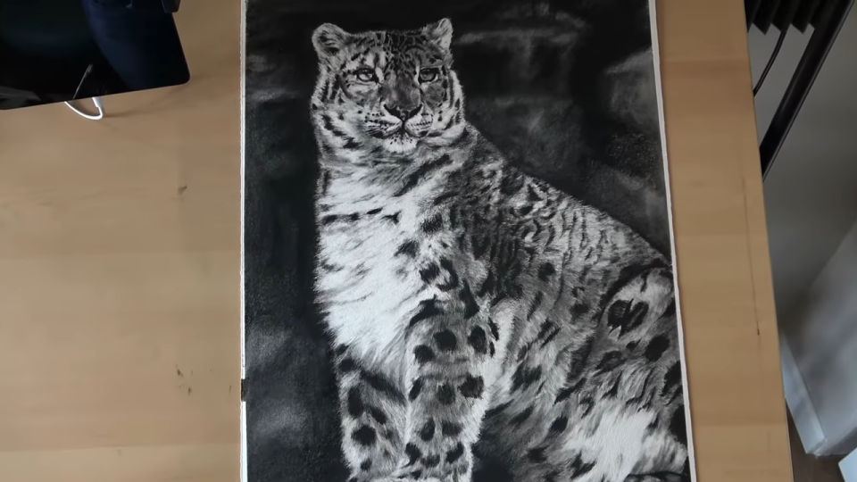 25 Easy Snow Leopard Drawing Ideas - How to Draw
