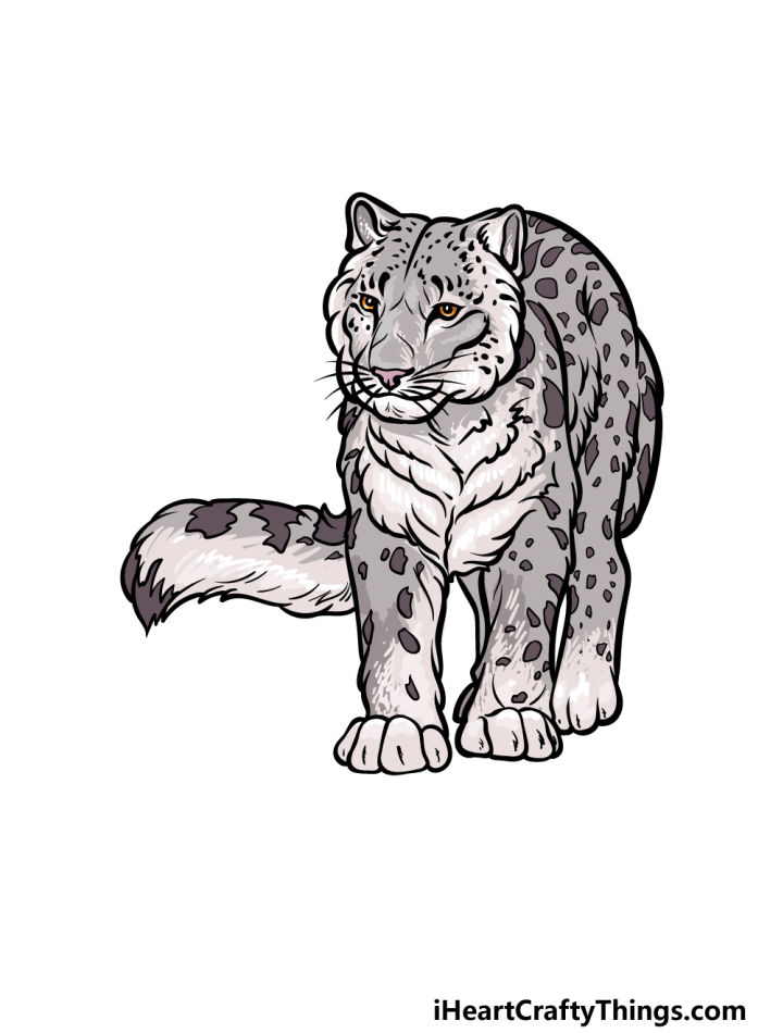 25 Easy Leopard Drawing Ideas - How to Draw