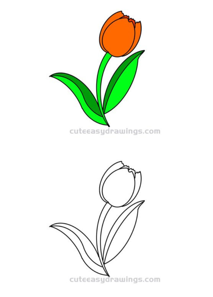 25 Easy Tulip Drawing Ideas - How to Draw a Tulip